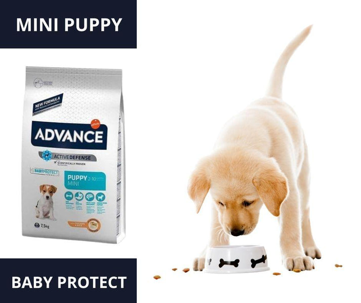 Advance Puppy Mini Pienso para cachorros de Razas Mini - Luna y Copito